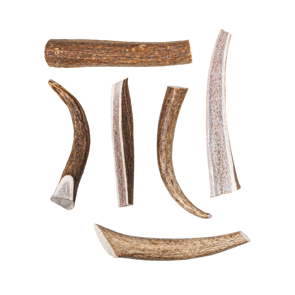 Mixed Species Pack – Mountain Valley Antlers