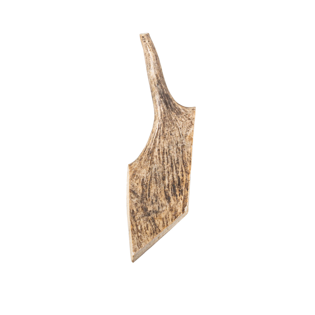 Moose Antler Whole Chew – Mountain Valley Antlers